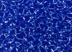 Mystic Light Blue - Latham Pools - CA